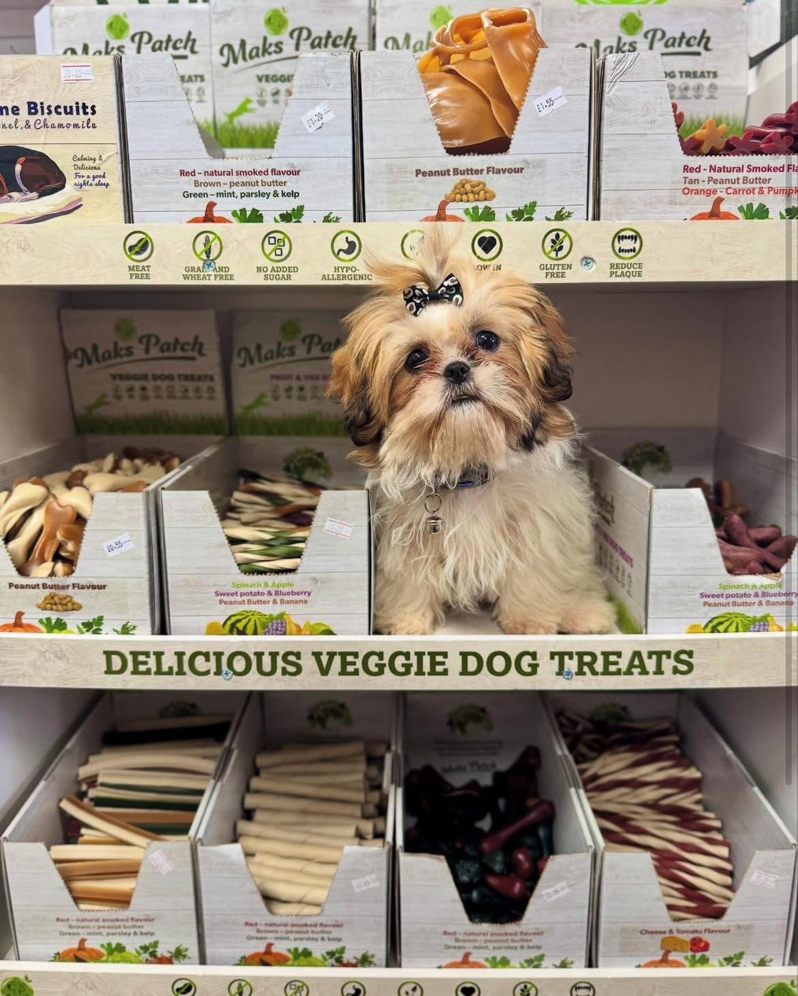 Vegan Dog Treats - Maks Patch Fruit & Veg Bones - Miro&Makauri